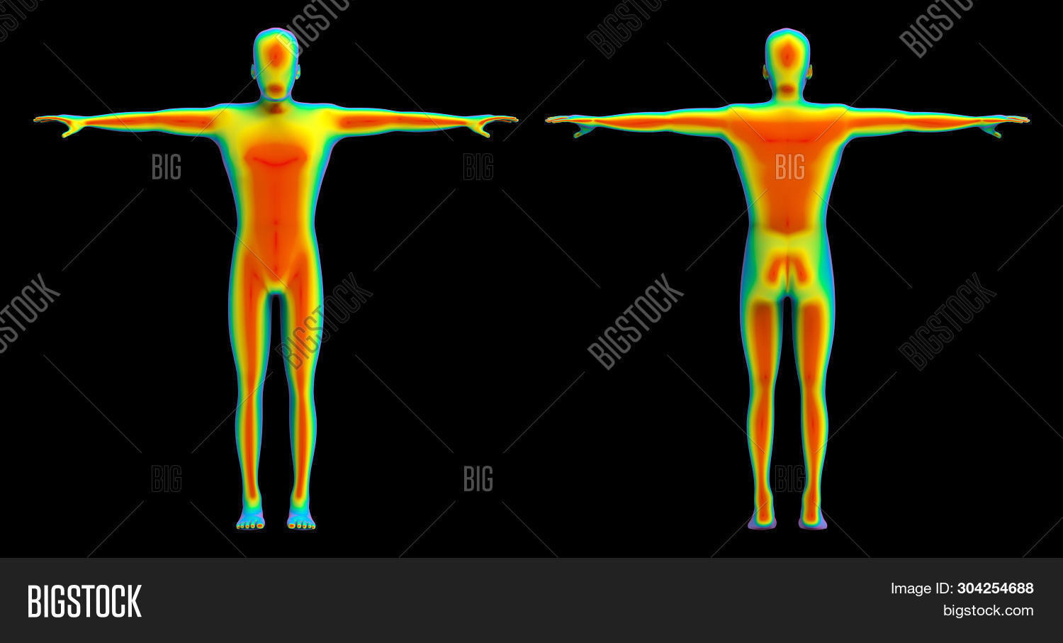 3d Rendering. Human Image & Photo (Free Trial) | Bigstock