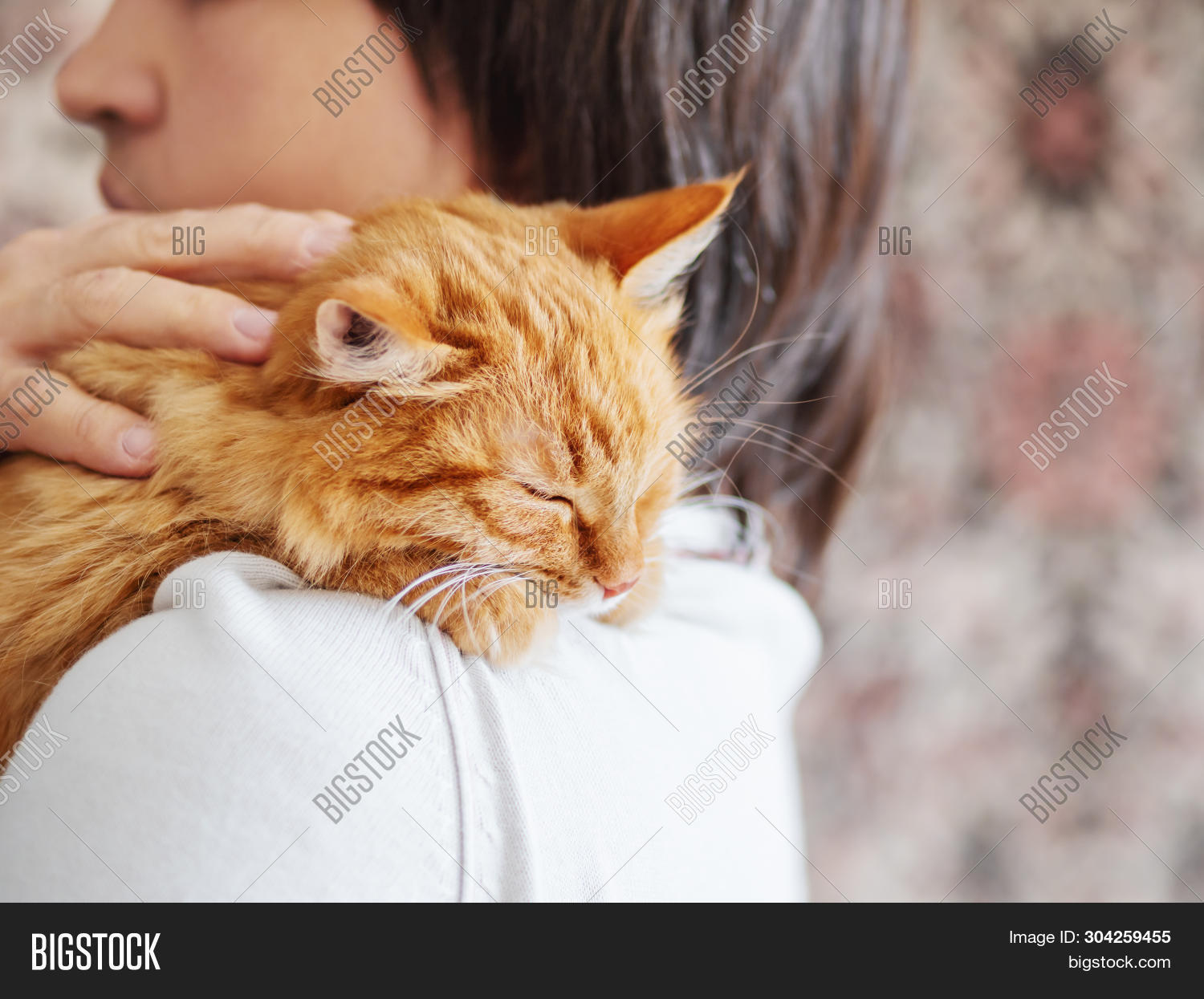 Cute Ginger Cat Image & Photo (Free Trial) | Bigstock