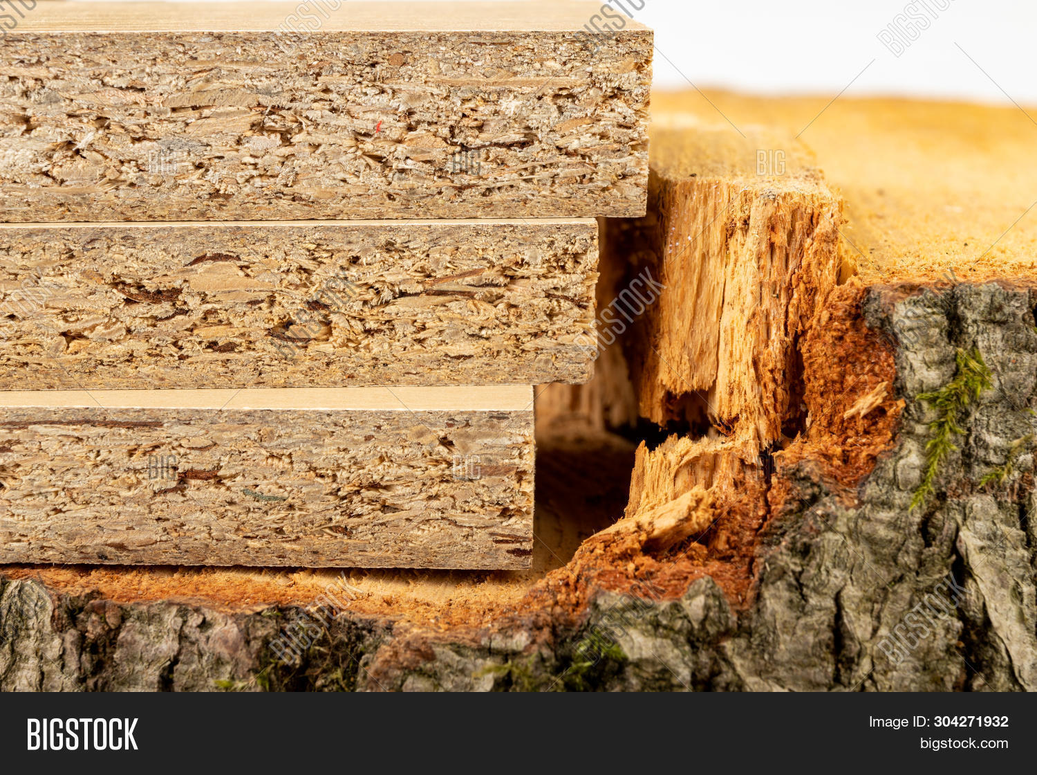 Particleboard On Trunk Image & Photo (Free Trial) | Bigstock