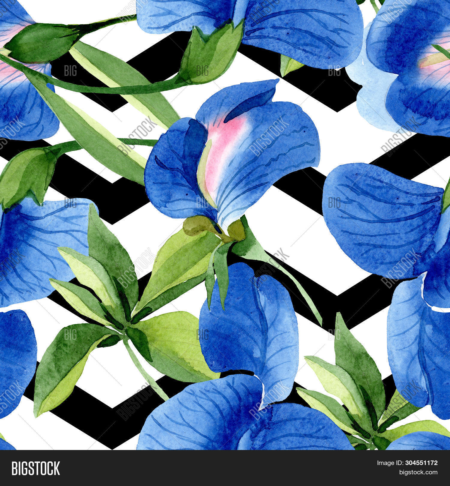 Blue Sweet Pea Floral Image & Photo (Free Trial) | Bigstock