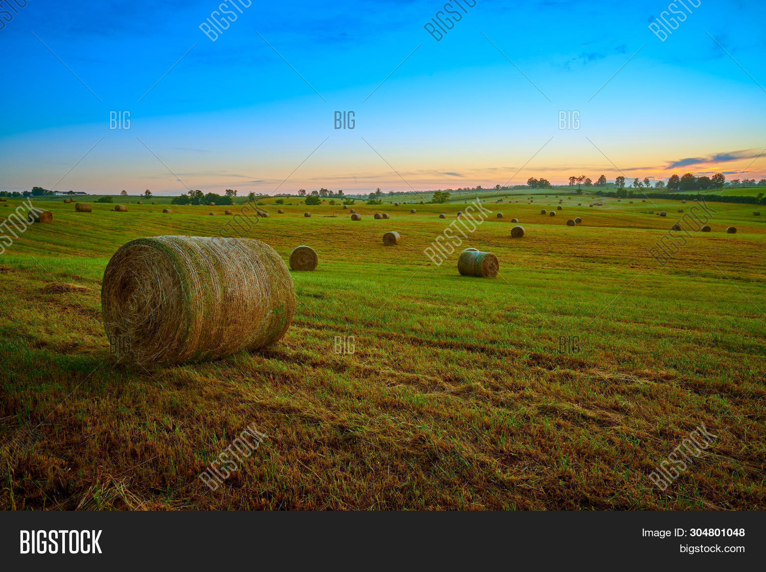 Round Hay Bails Field Image & Photo (Free Trial) | Bigstock