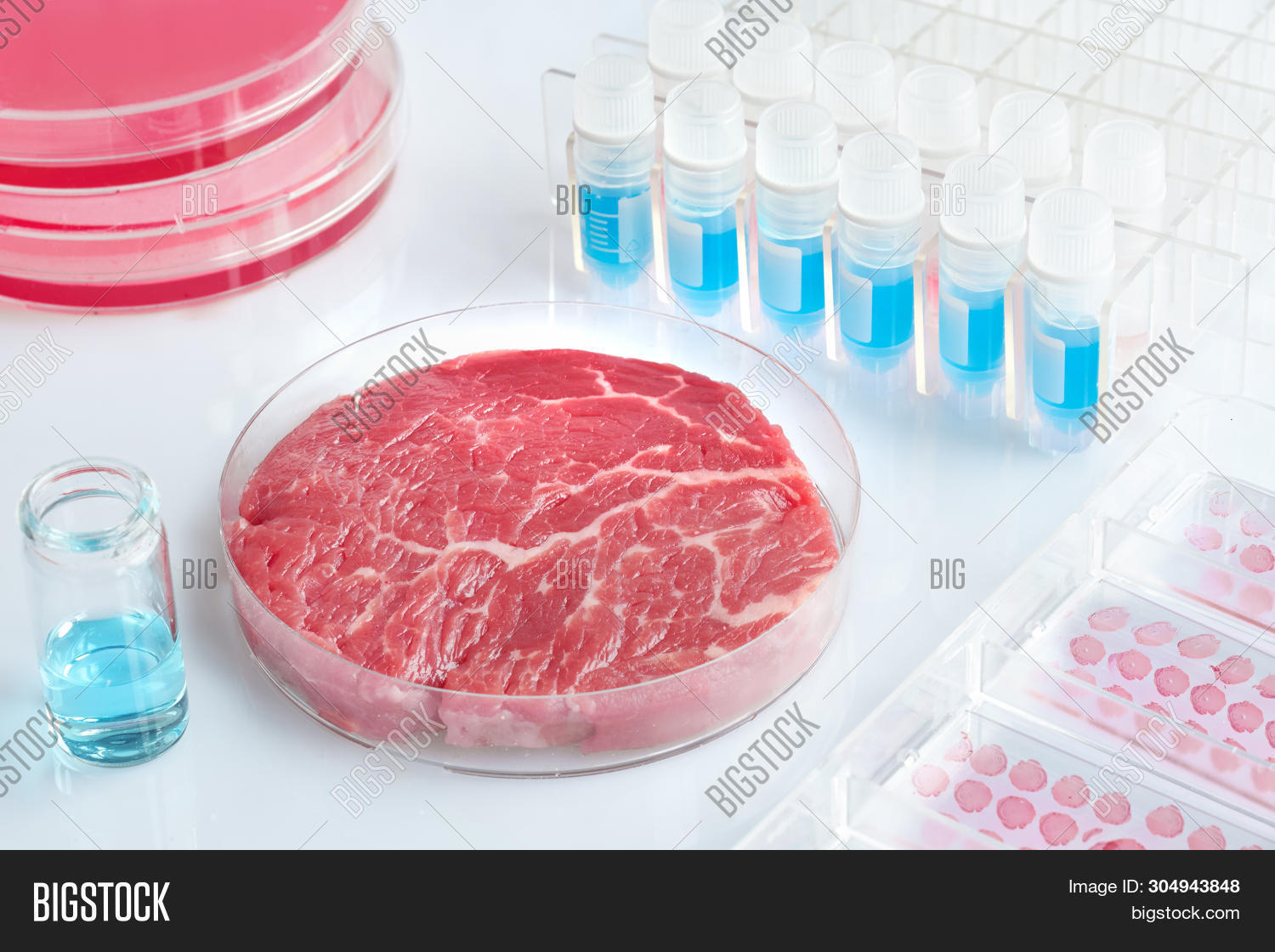 Meat Sample Open Image & Photo (Free Trial) | Bigstock