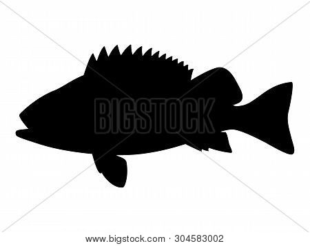 Vector Illustration Vector & Photo (Free Trial) | Bigstock