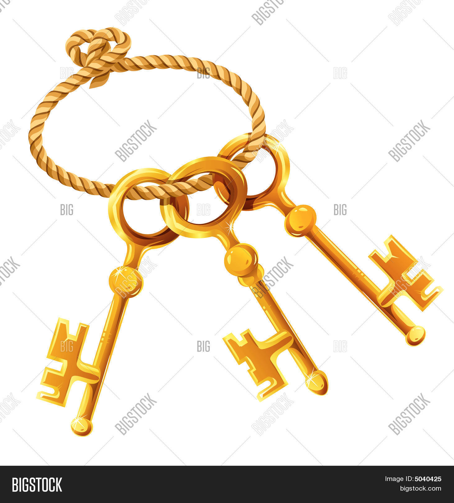 Set Gold Keys On Rope Vector & Photo (Free Trial) | Bigstock