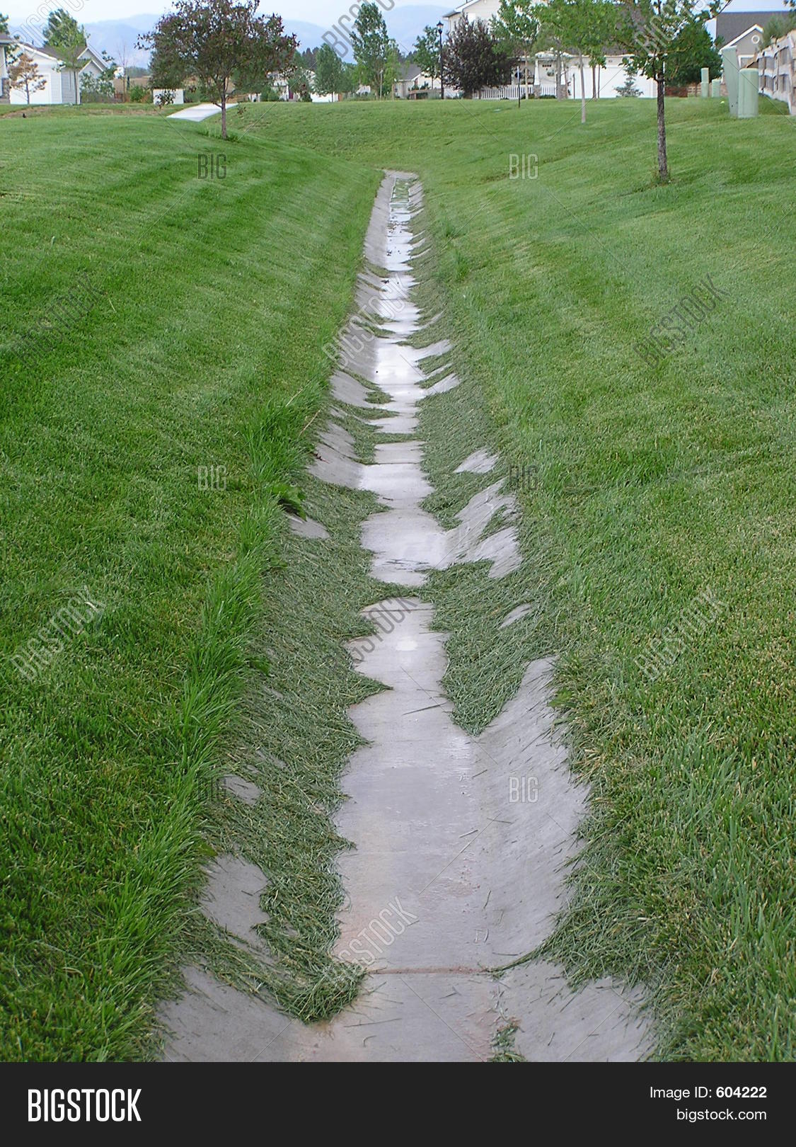 Poor Drainage Image & Photo (Free Trial) | Bigstock