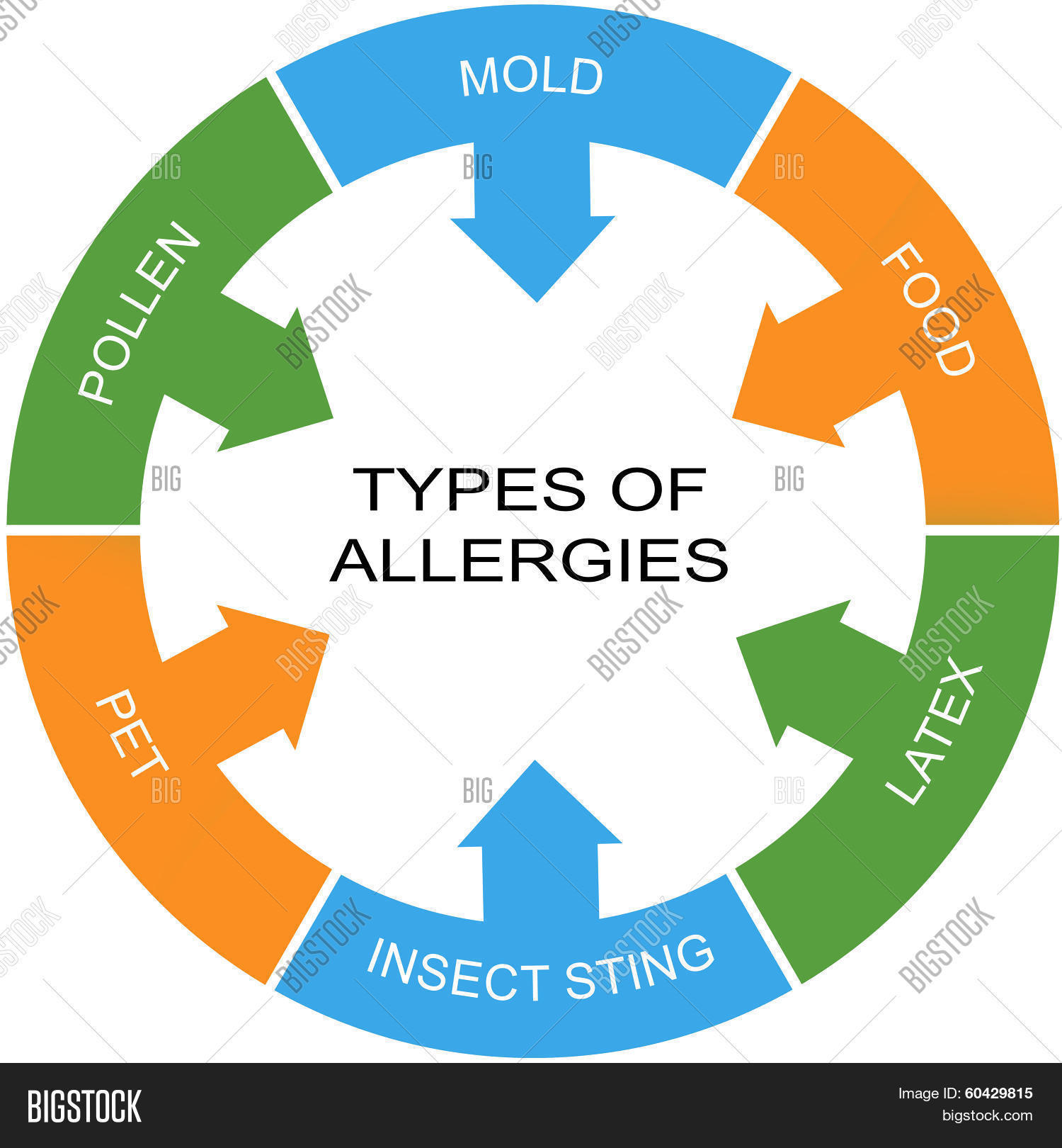 Types Allergies Word Image & Photo (Free Trial) | Bigstock