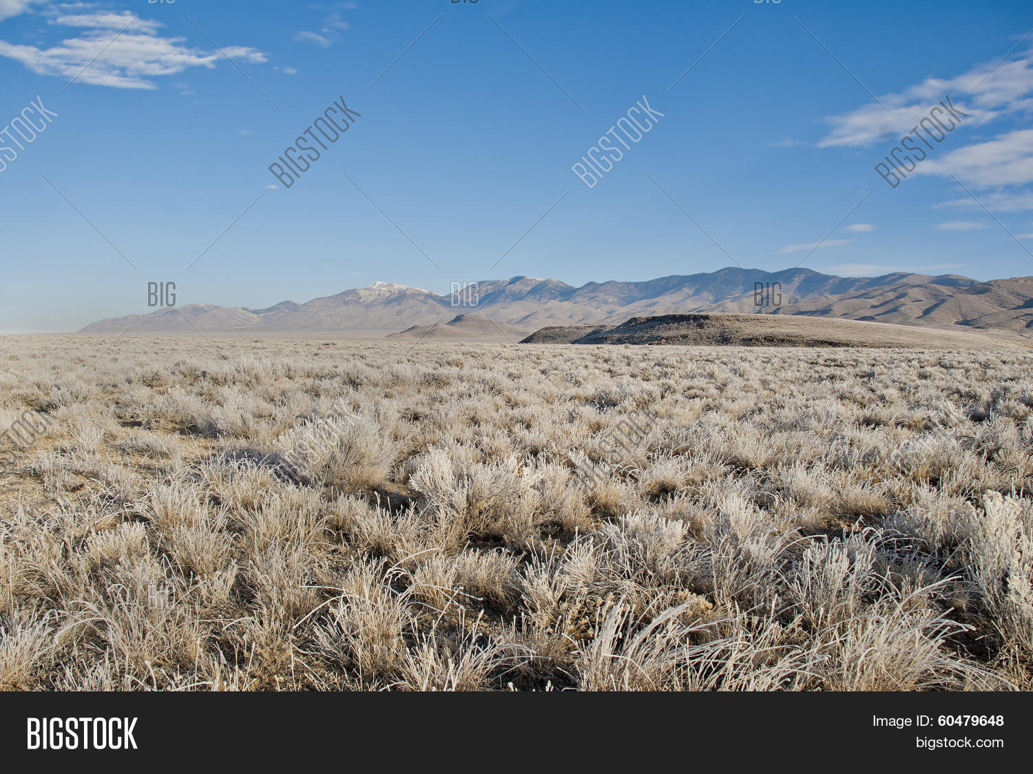 Lemhi Valley Central Image & Photo (Free Trial) | Bigstock