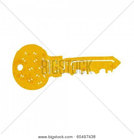 Cartoon Key Vector & Photo (Free Trial) | Bigstock