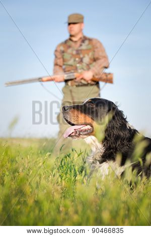 Hunter Dog Aiming His Image & Photo (Free Trial) | Bigstock