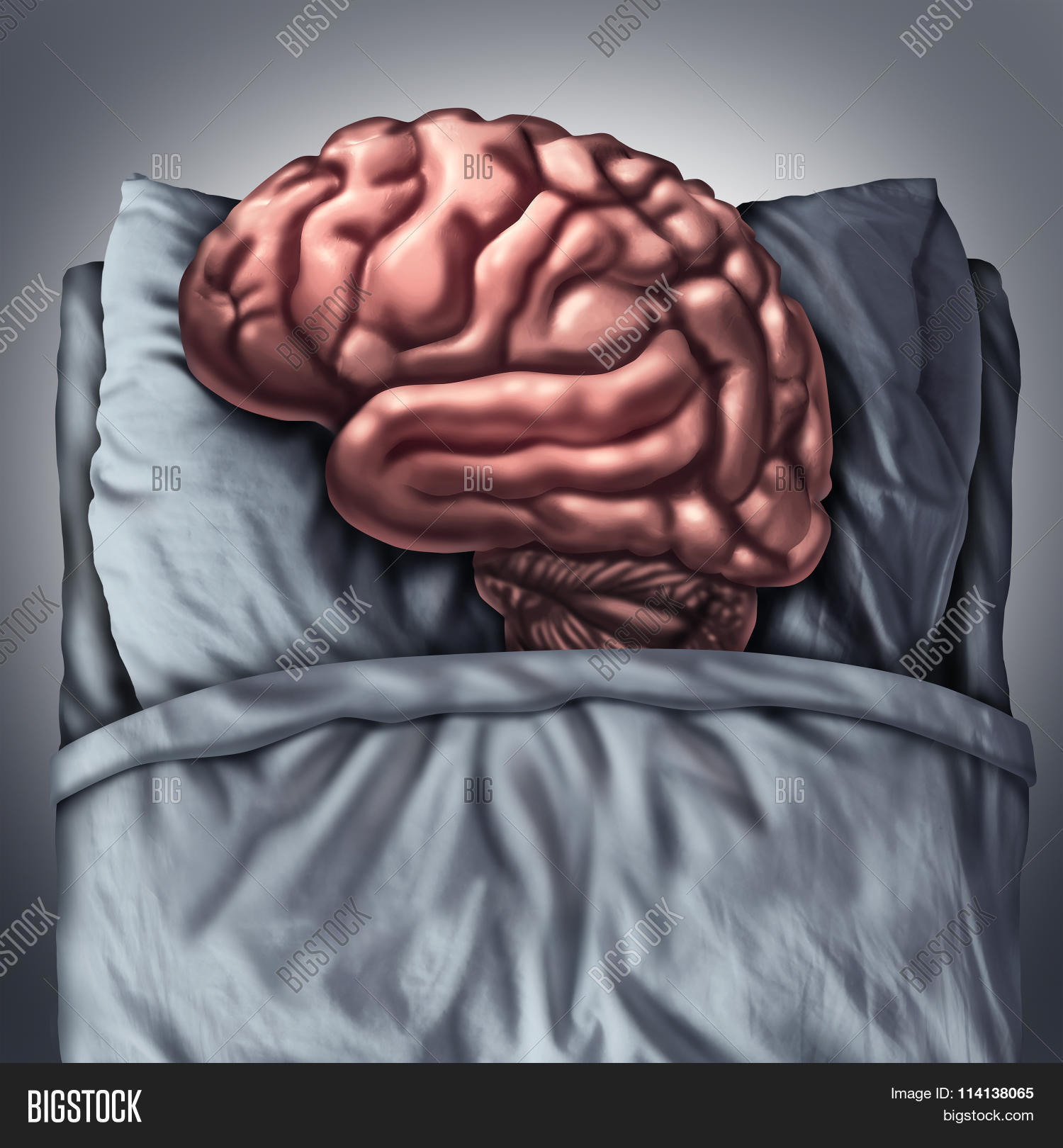 Brain Sleep Image & Photo (Free Trial) | Bigstock