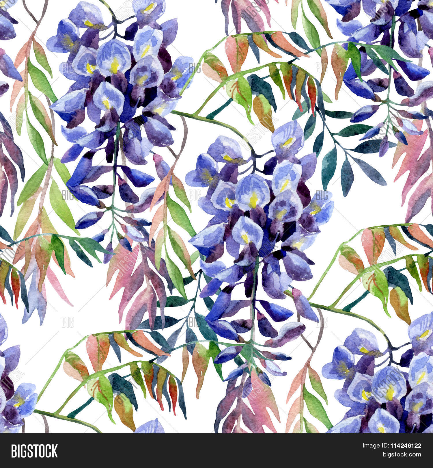 Imagen y foto Wisteria Flower. (prueba gratis) | Bigstock