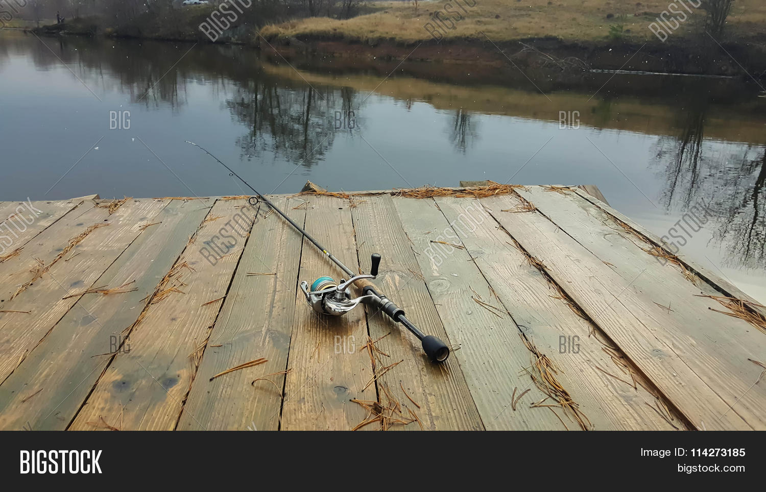Fish On River Bank. Image & Photo (Free Trial) | Bigstock