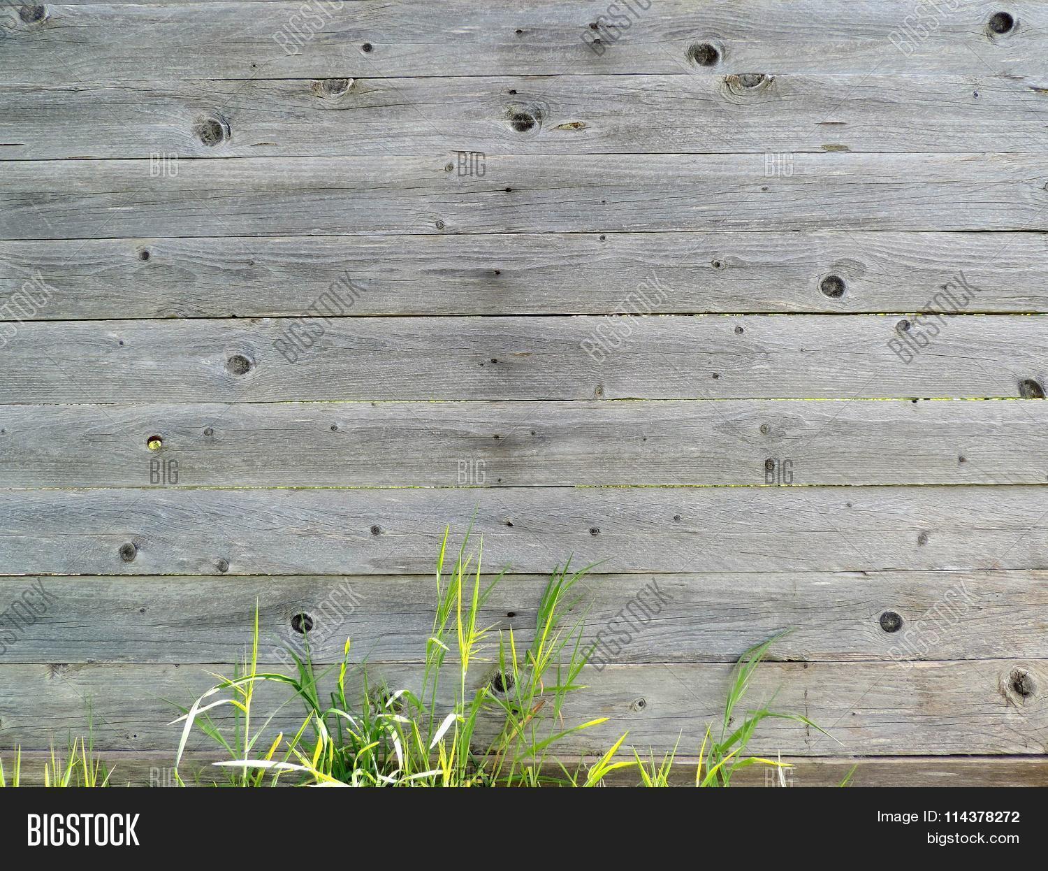 Perfect Natural Gray Image & Photo (Free Trial) | Bigstock