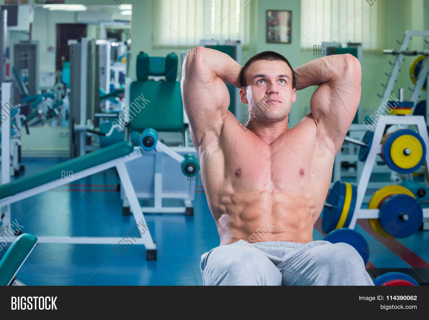 Muscular Man Gym. Work Image & Photo (Free Trial) | Bigstock