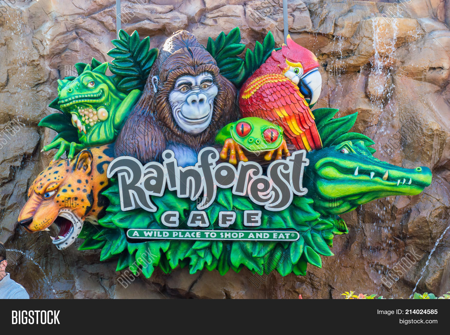 Rainforest Cafe Sign Image & Photo (Free Trial) | Bigstock