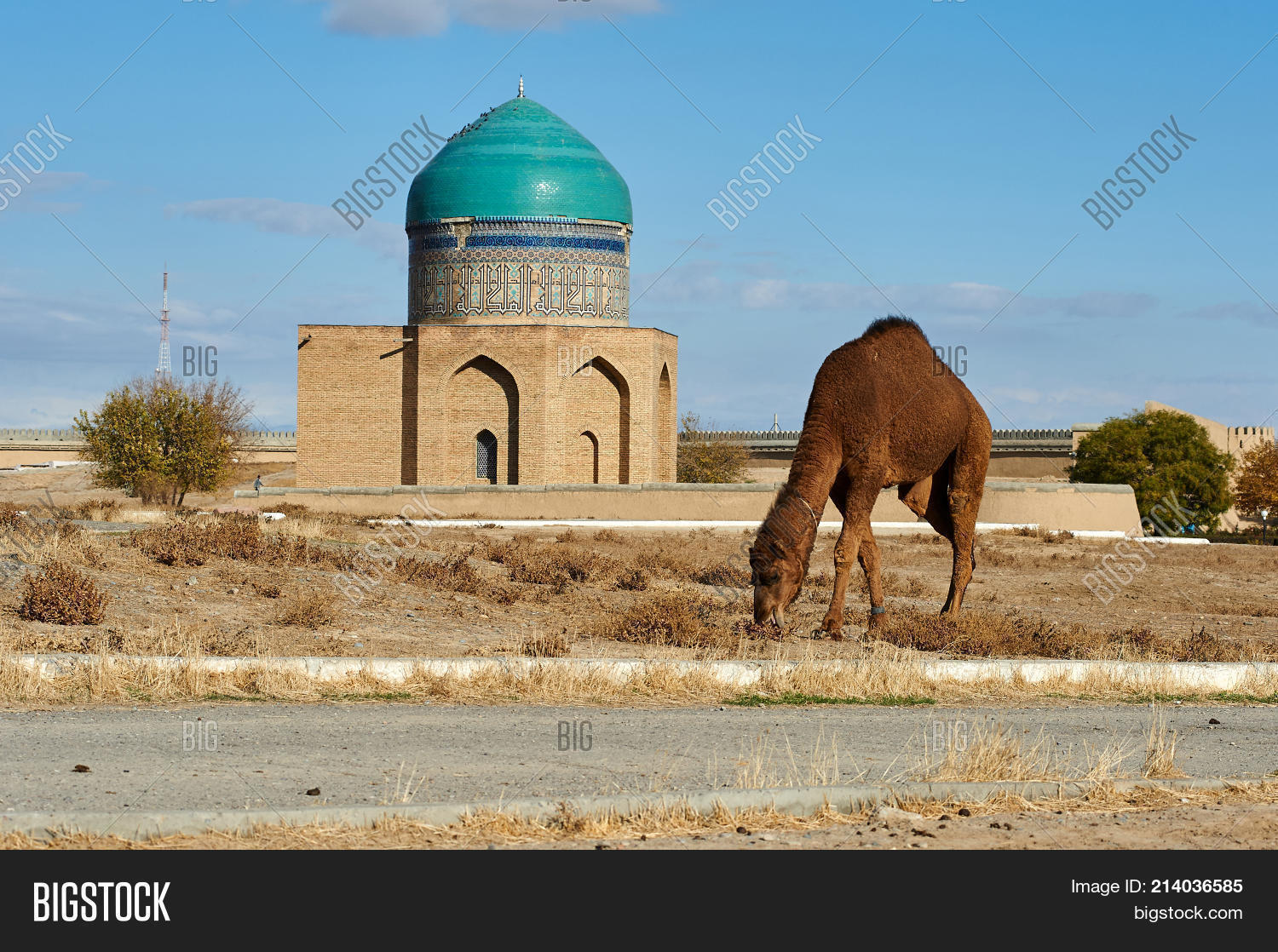 Types City Turkestan. Image & Photo (Free Trial) | Bigstock