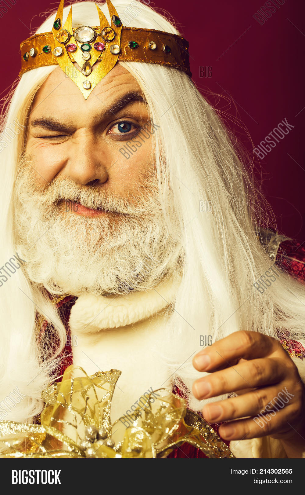 Bearded Wizard Man Image & Photo (Free Trial) | Bigstock