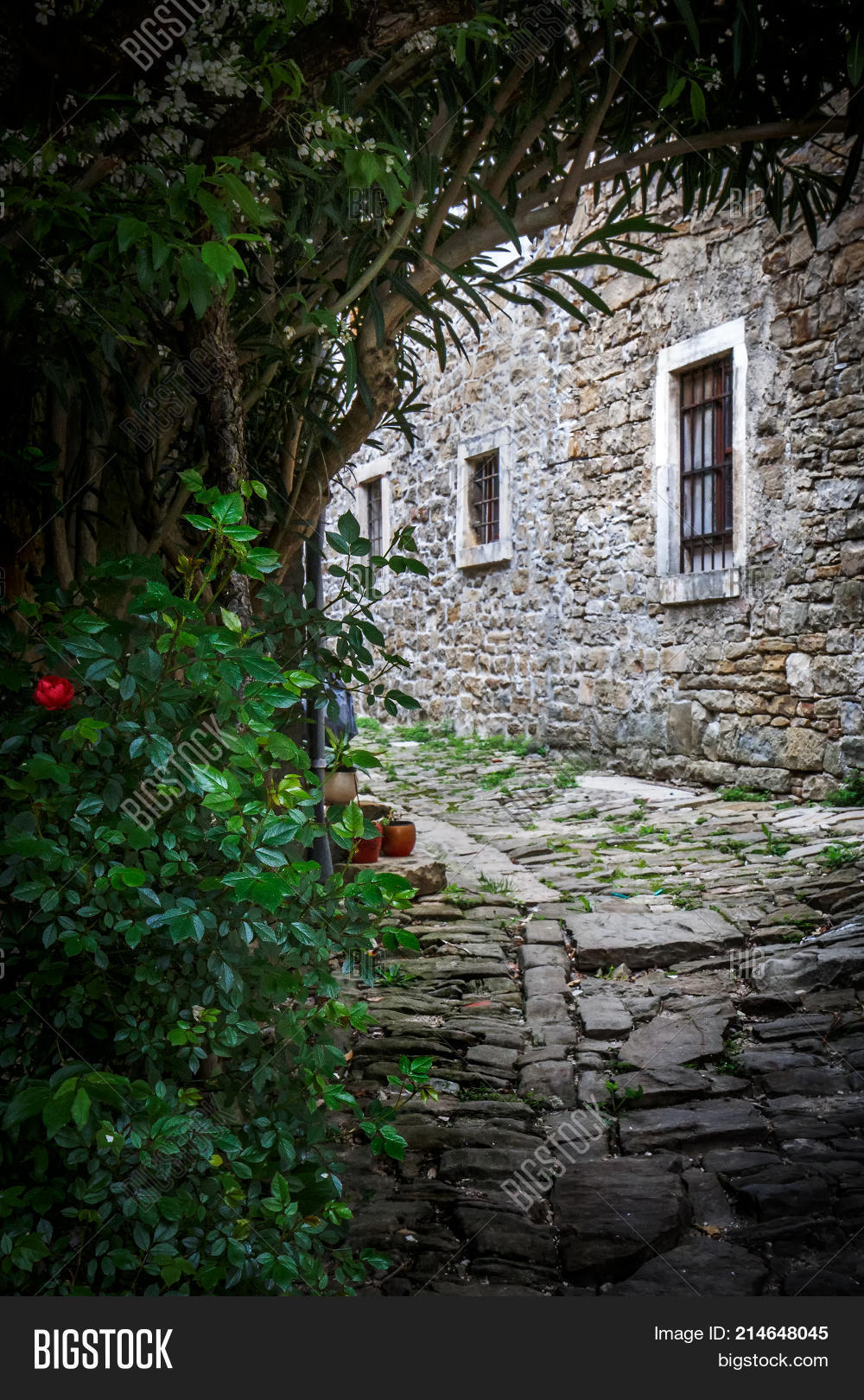 Quiet Street Small Image & Photo (Free Trial) | Bigstock