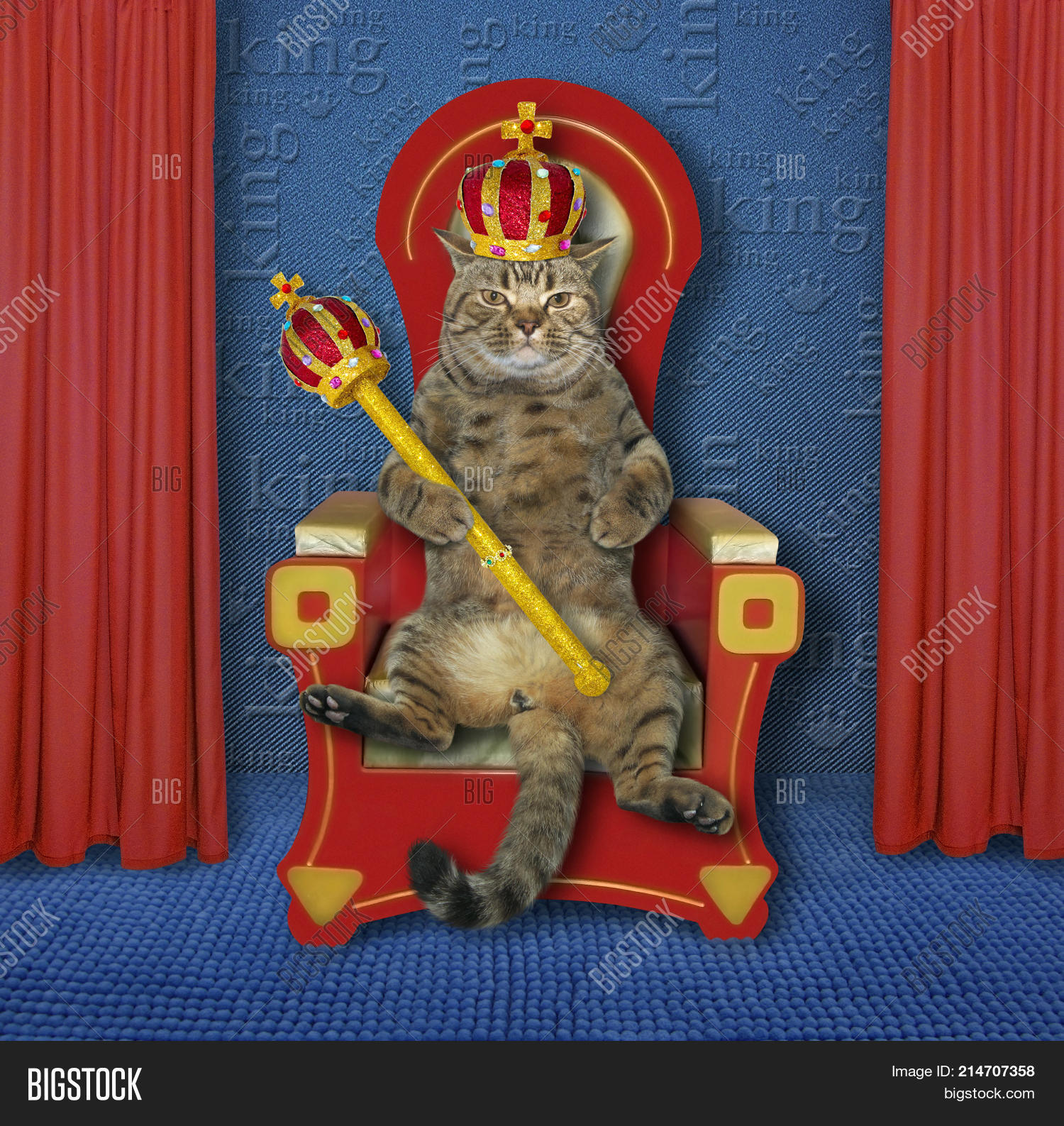 Cat King Sitting On Image & Photo (Free Trial) | Bigstock