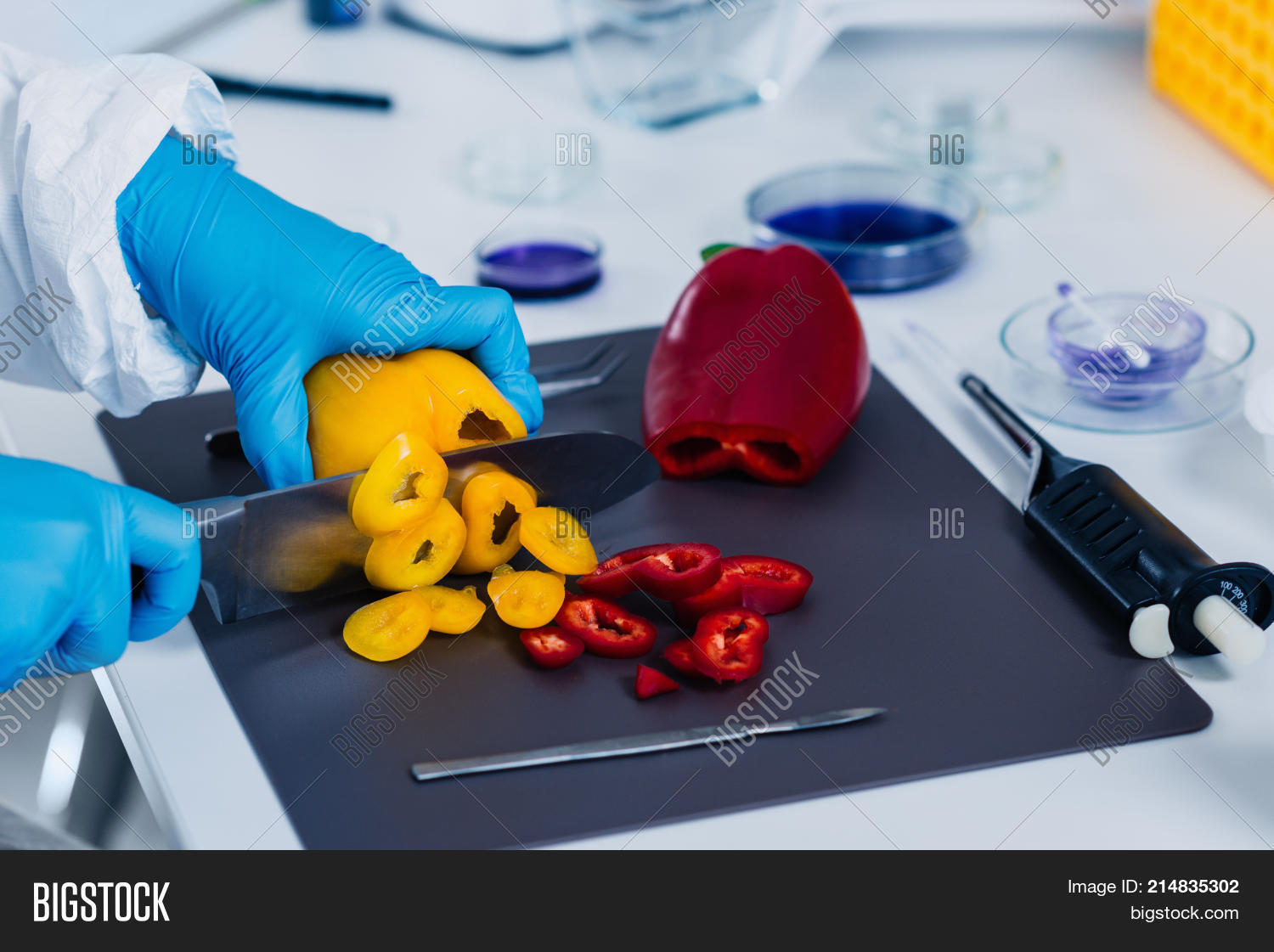 Quality Control Food Image & Photo (Free Trial) | Bigstock