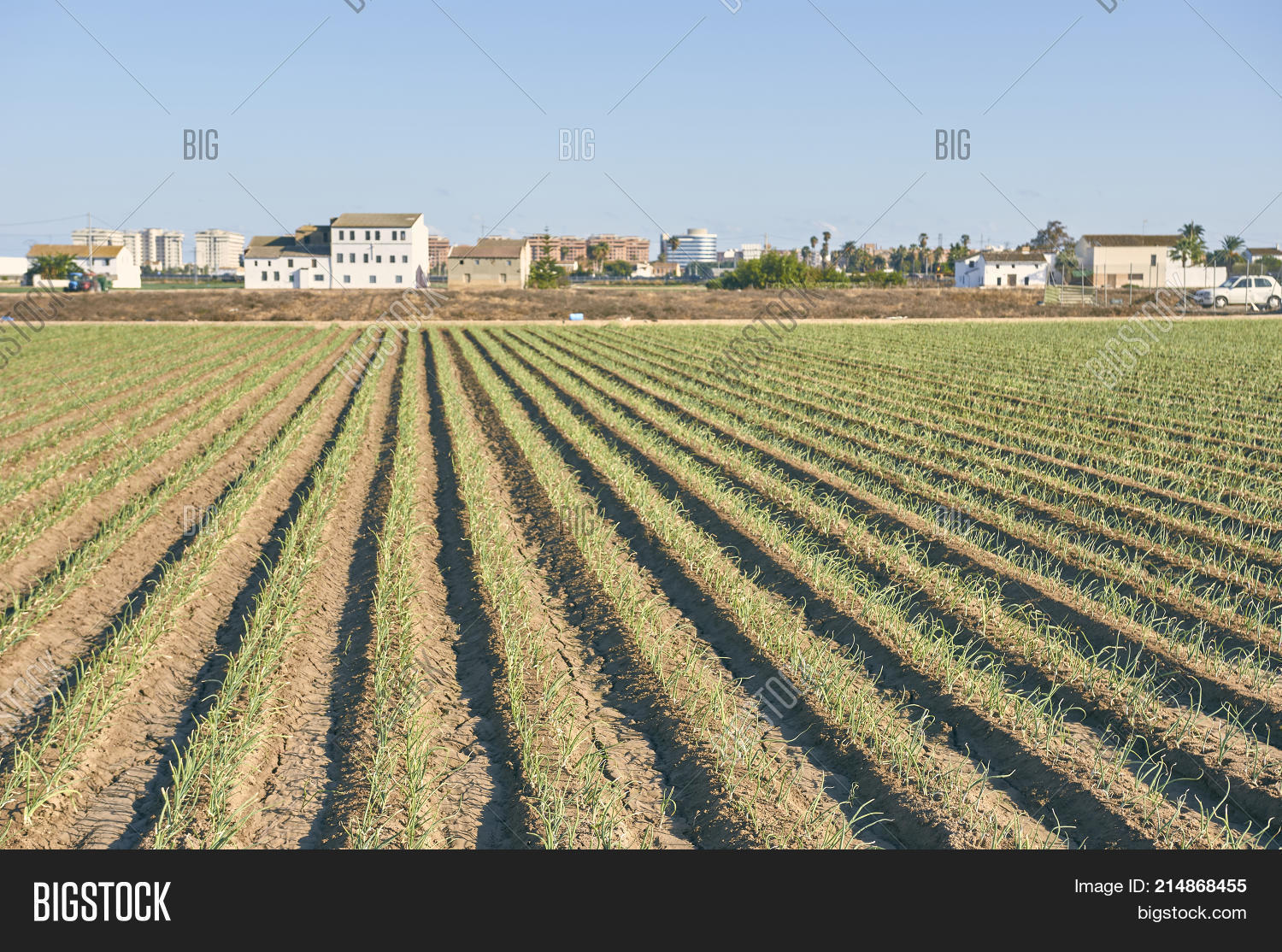 Fields Garden Image & Photo (Free Trial) | Bigstock