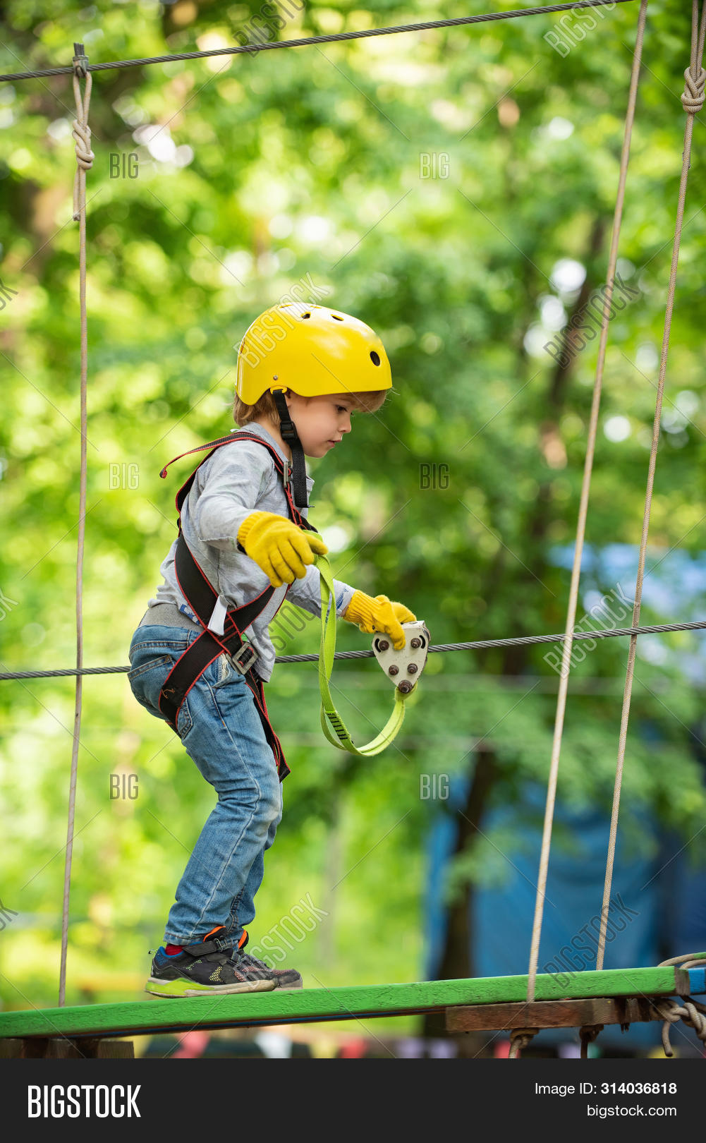 High Ropes Walk. Image & Photo (Free Trial) | Bigstock