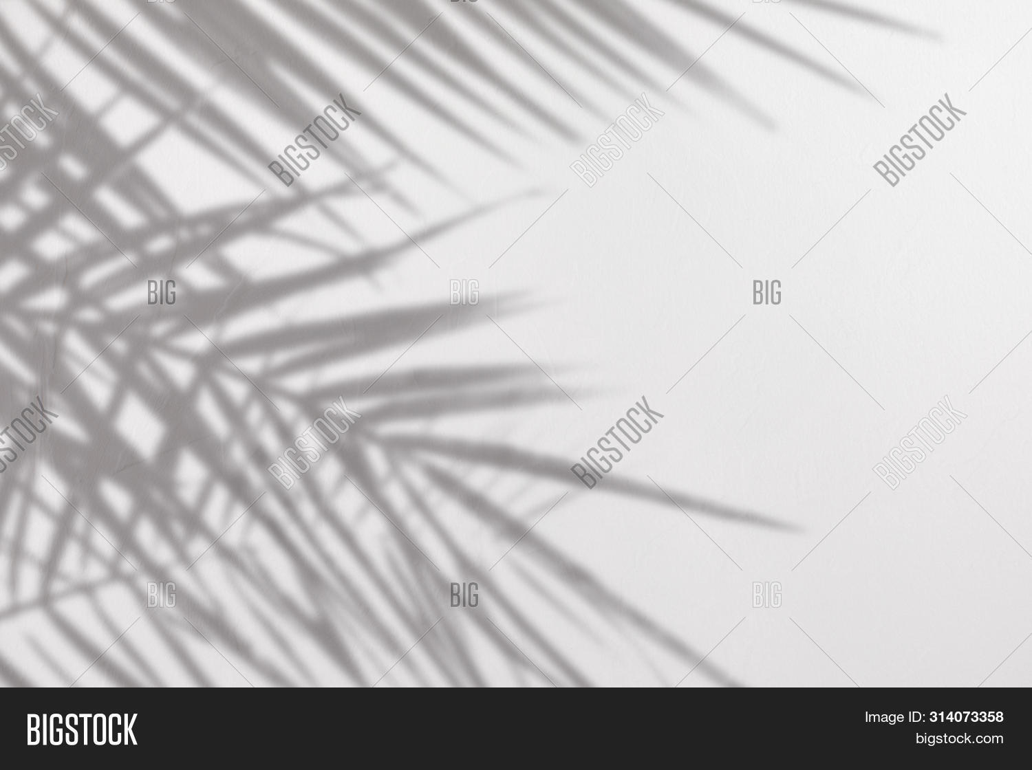 Gray Shadow Natural Image & Photo (Free Trial) | Bigstock