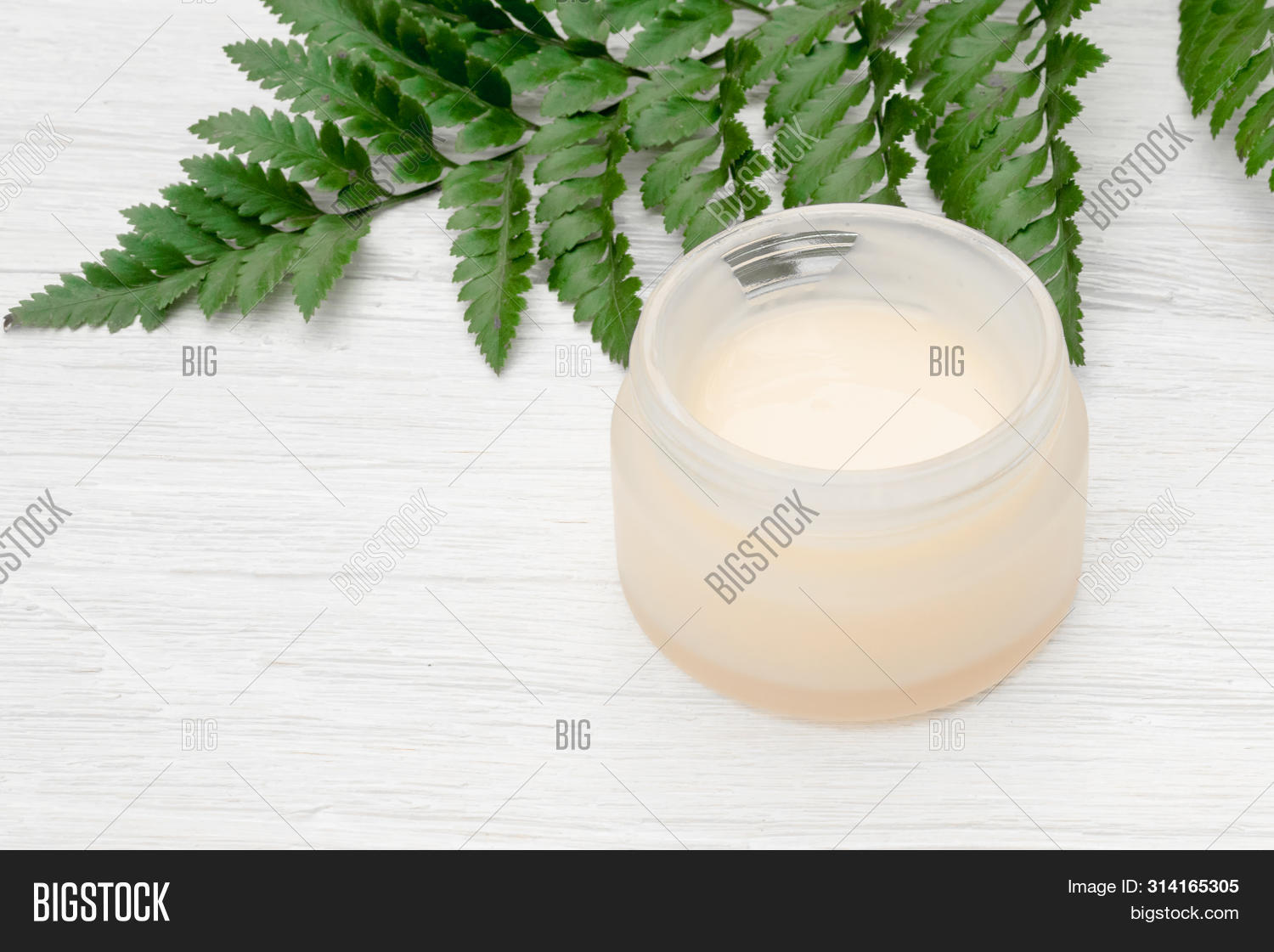 Facial Cream Jar Fern Image & Photo (Free Trial) | Bigstock