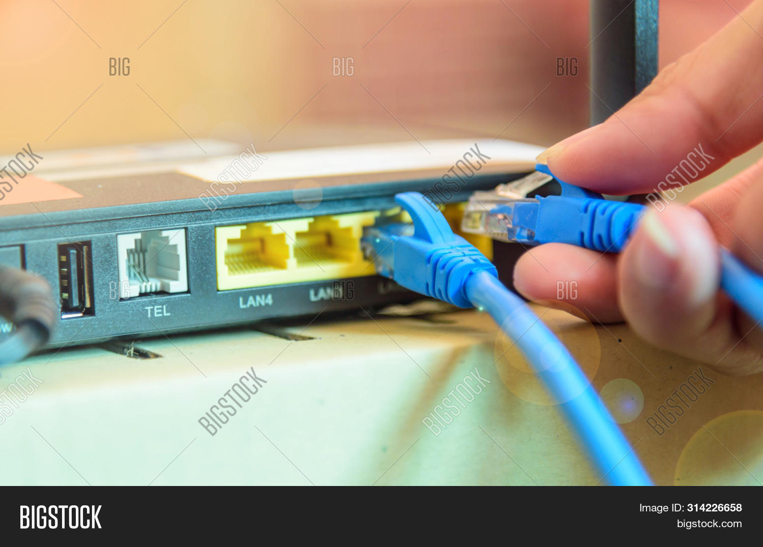 Man Connect Lan Cable Image & Photo (Free Trial) | Bigstock