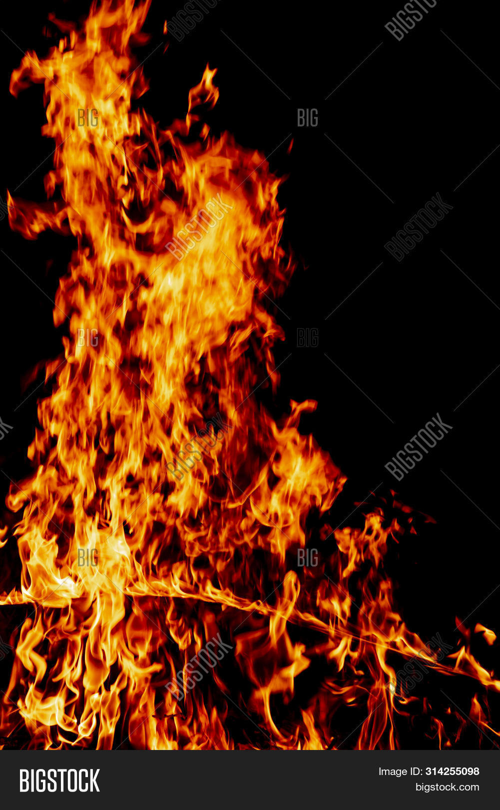 Fire On Dark Image & Photo (Free Trial) | Bigstock