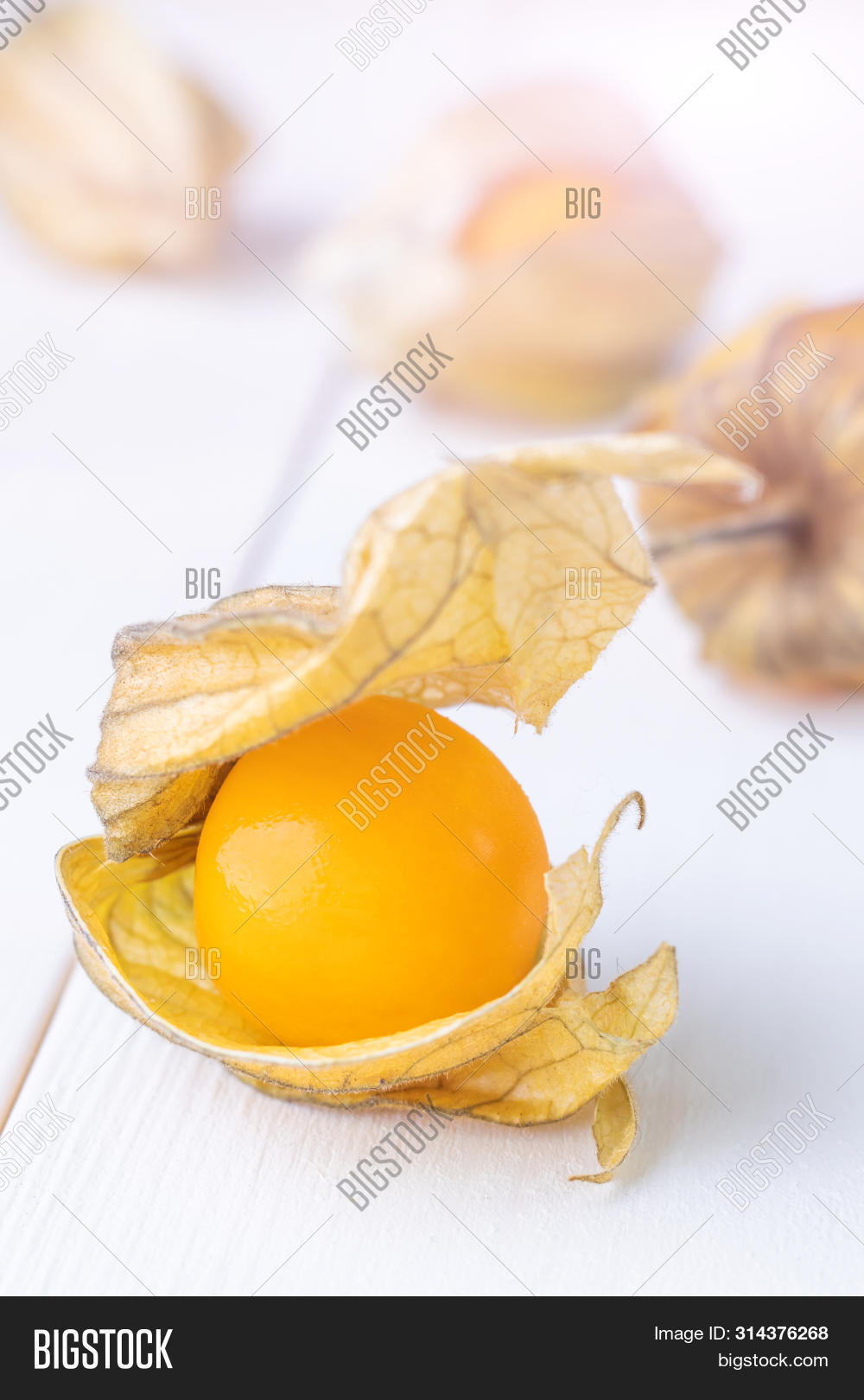 Physalis Fruit ( Image & Photo (Free Trial) | Bigstock
