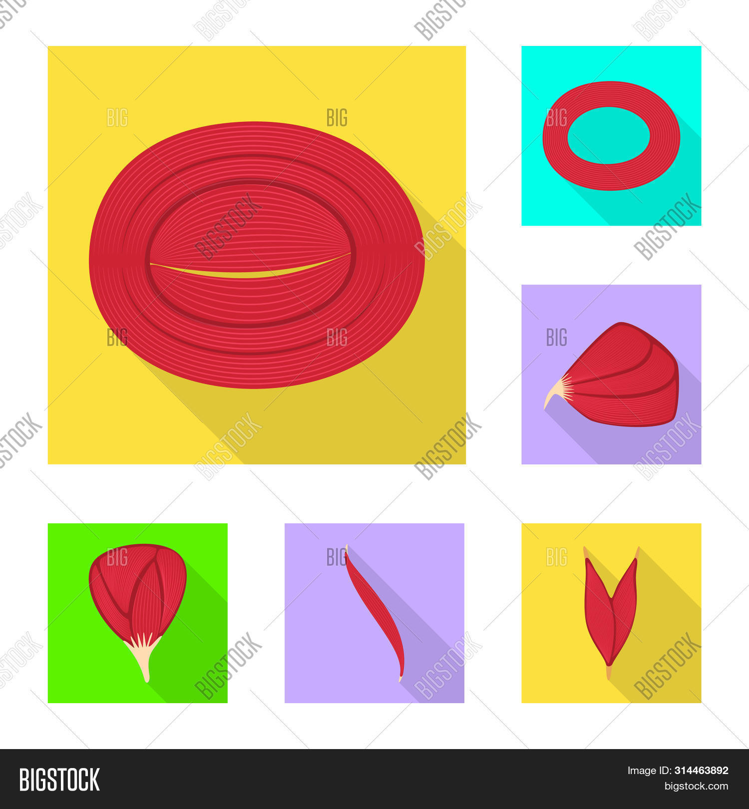 Bitmap Illustration Image & Photo (Free Trial) | Bigstock