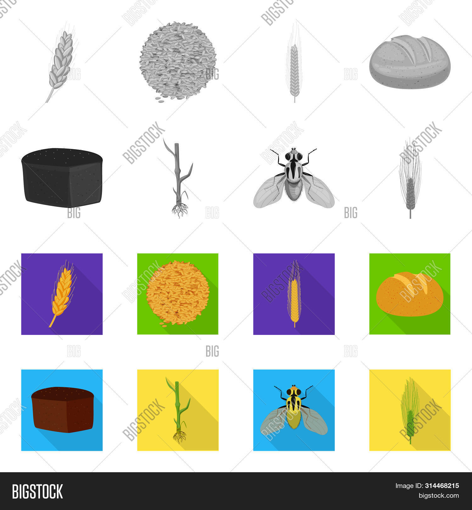 Bitmap Design Image & Photo (Free Trial) | Bigstock