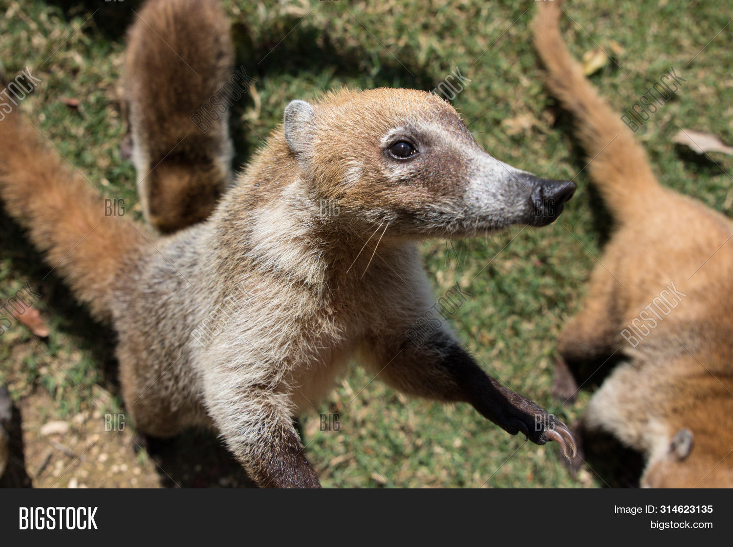 Portrait Group Cute Image & Photo (Free Trial) | Bigstock