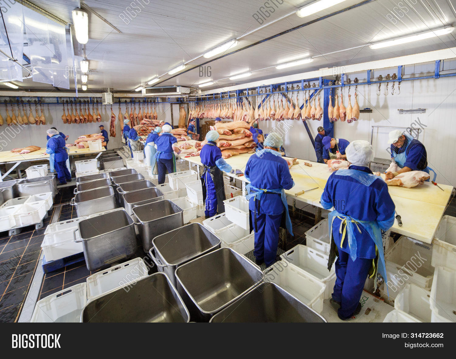 Cutting Meat Image & Photo (Free Trial) | Bigstock