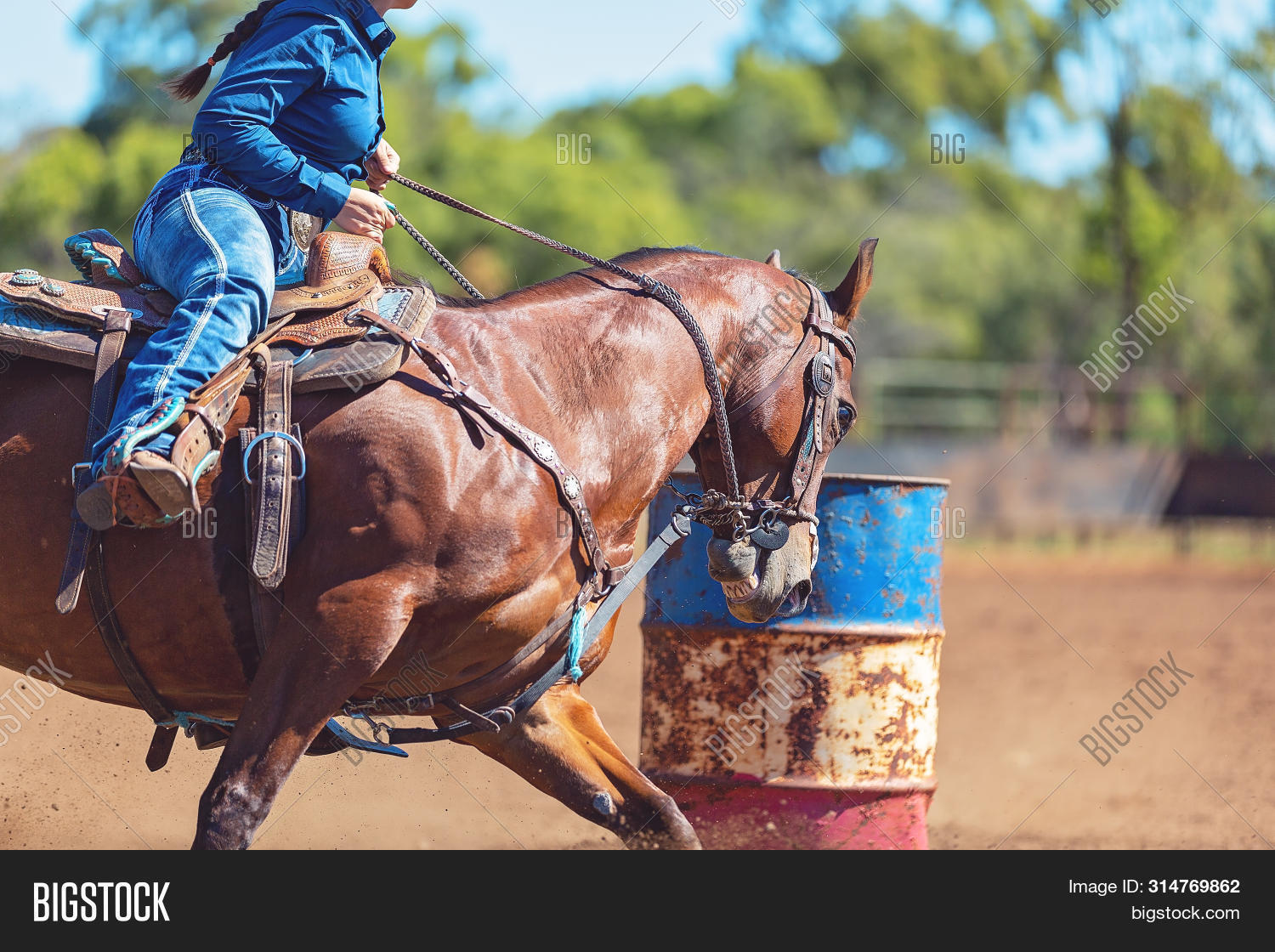 Female Equestrian Image & Photo (Free Trial) | Bigstock