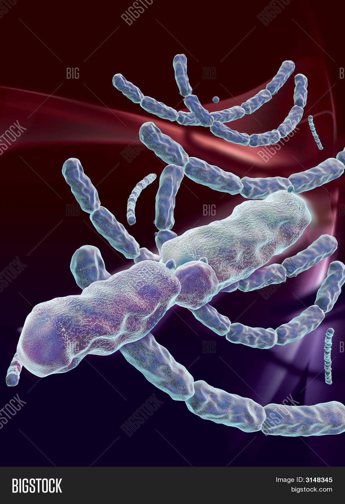 Anthrax Bacterial Image & Photo (Free Trial) | Bigstock
