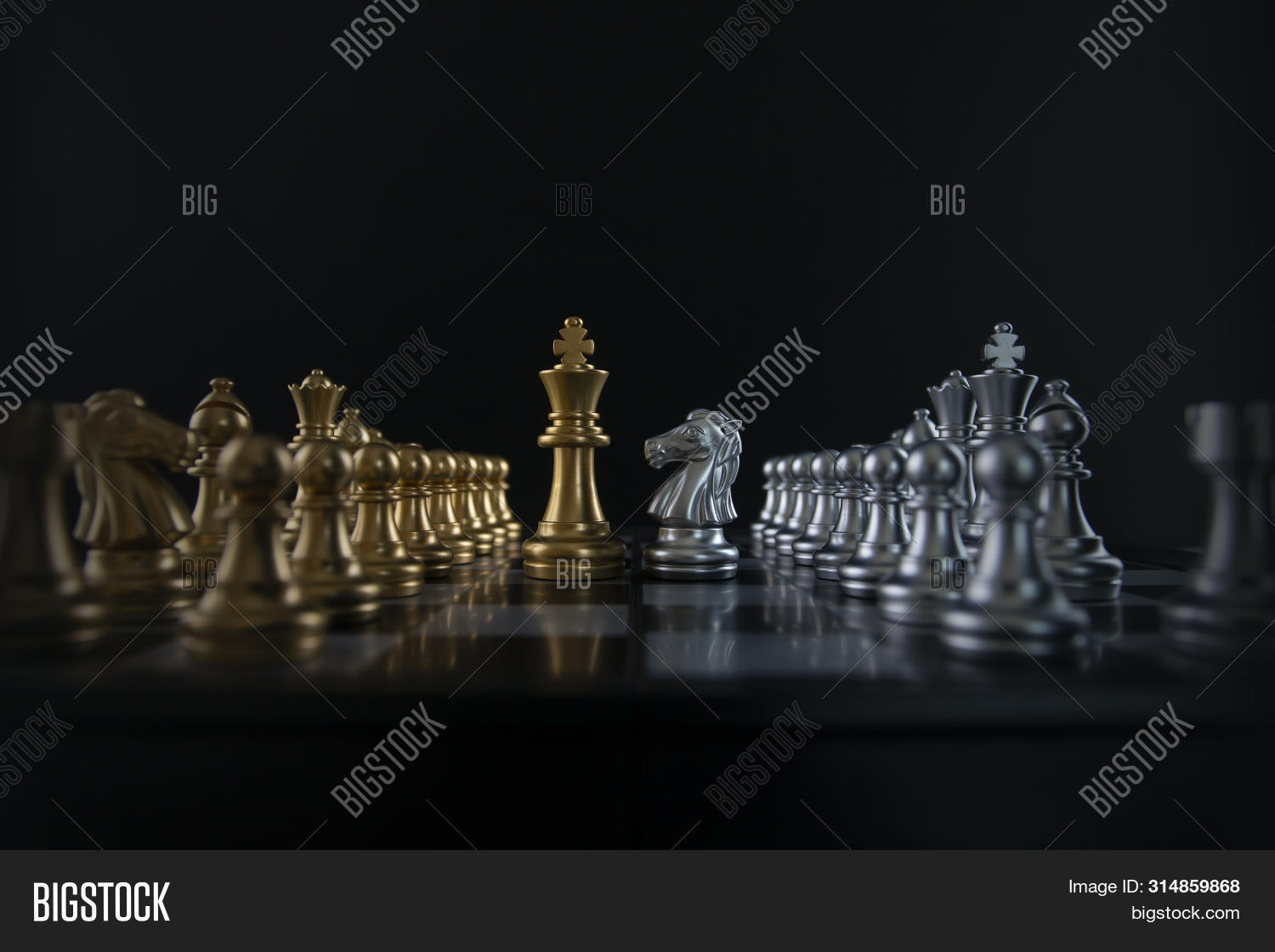 Silver Chess Knight Image & Photo (Free Trial) | Bigstock