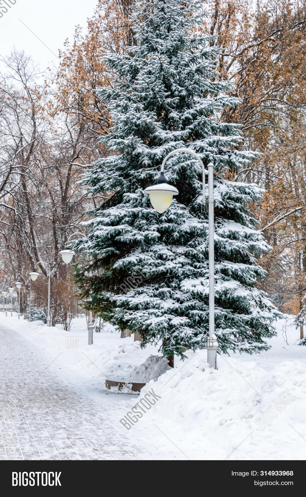 Snowy Winter Scene: Image & Photo (Free Trial) | Bigstock