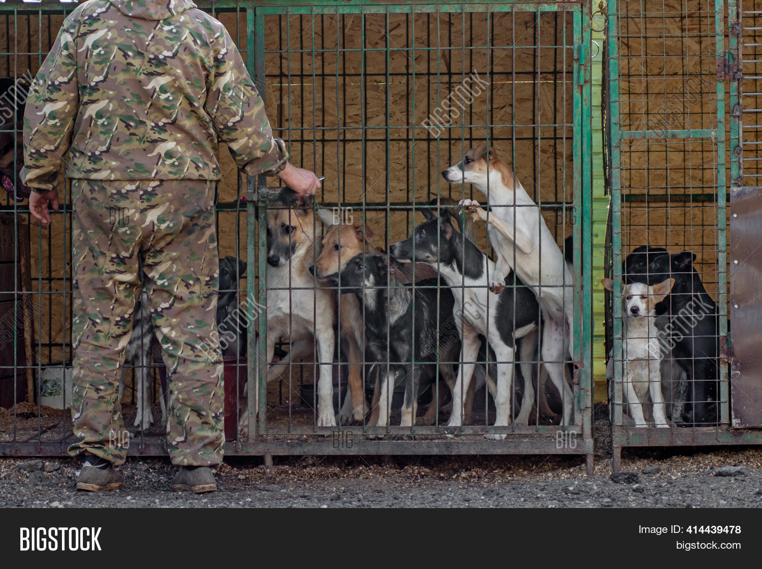Man Opening Metal Cage Image & Photo (Free Trial) | Bigstock