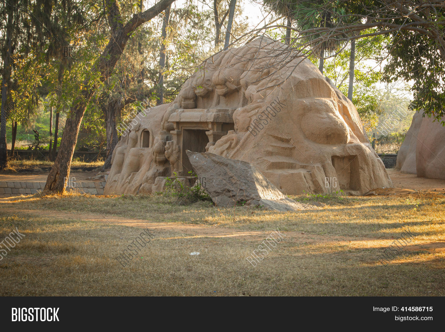 View Tiger Cave Which Image & Photo (Free Trial) | Bigstock