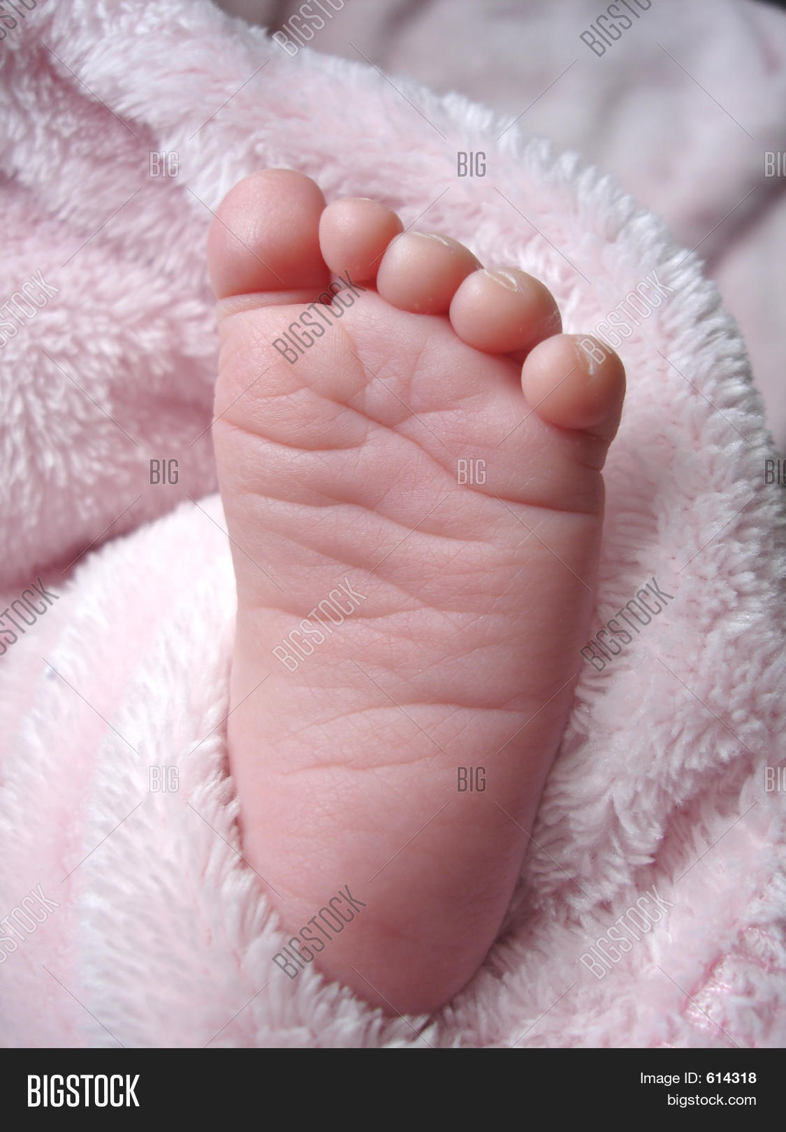 Little Foot Image & Photo (Free Trial) | Bigstock