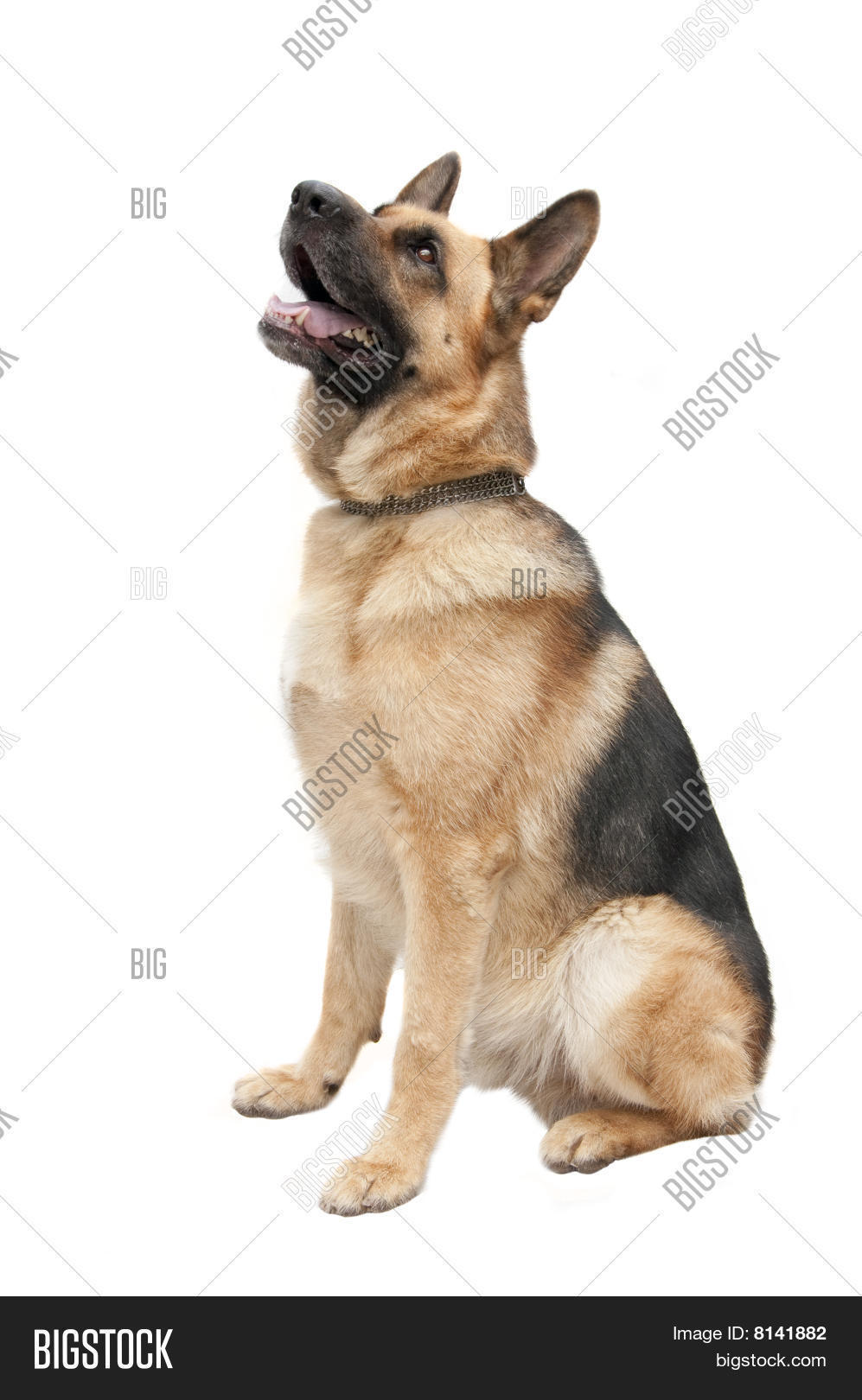 ภาพและภาพถ่าย (ทดลองใช้ฟรี) | Bigstock