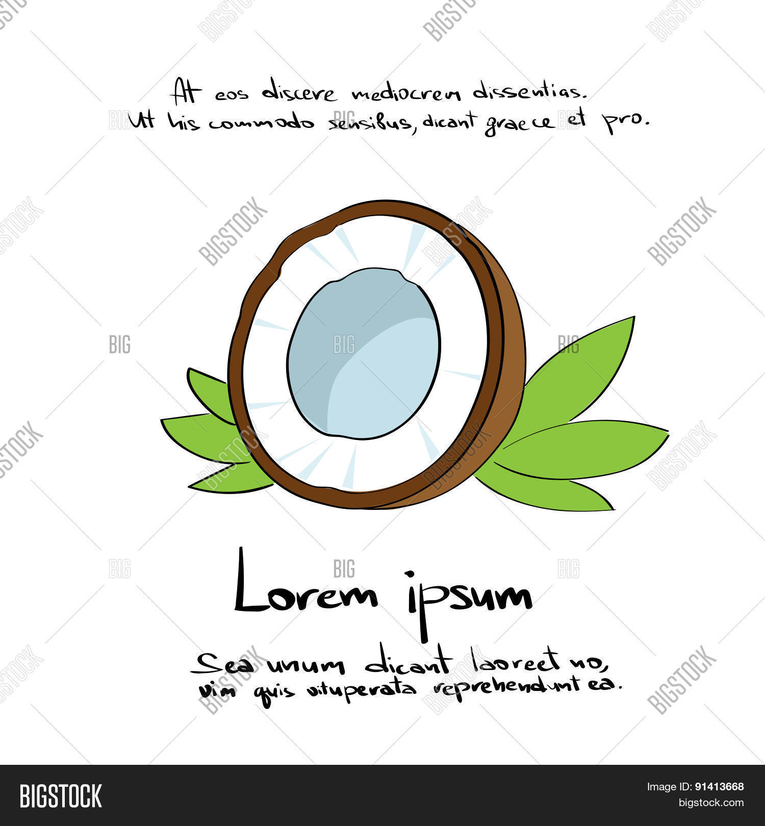 Coconut Half Cut Hand Vector & Photo (Free Trial) | Bigstock