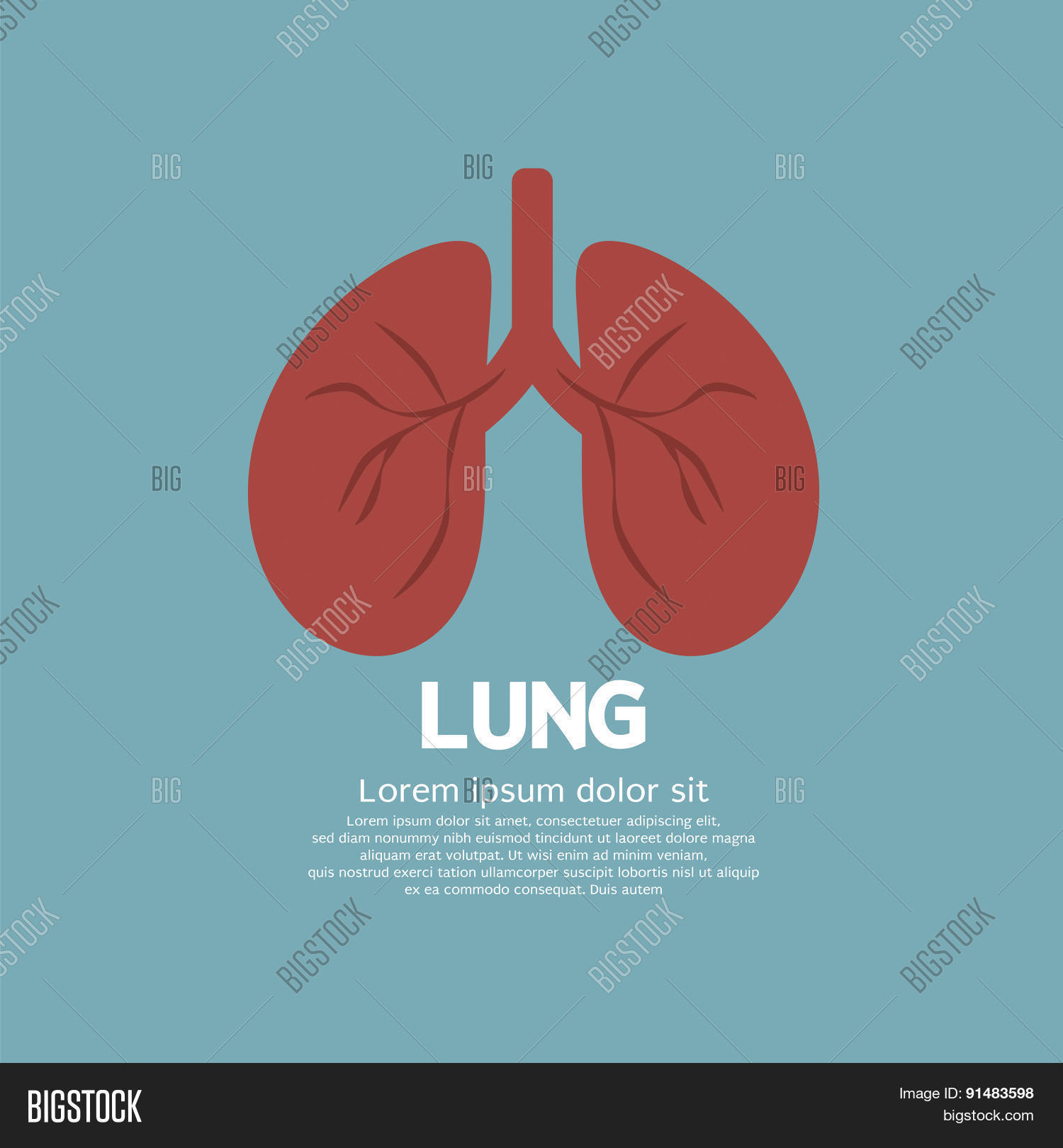 Flat Design Human Vector & Photo (Free Trial) | Bigstock