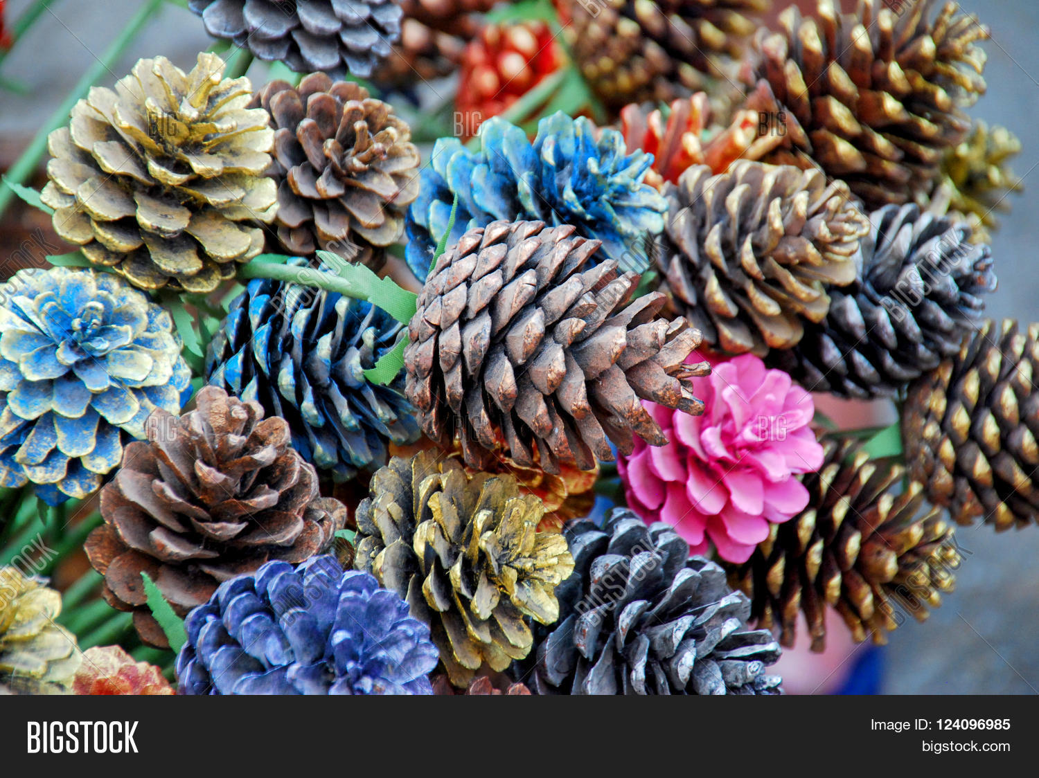 Colorful Pine Cones Image & Photo (Free Trial) | Bigstock