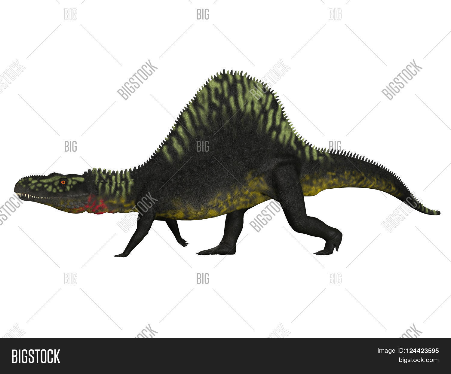 Arizonasaurus Side Image & Photo (Free Trial) | Bigstock