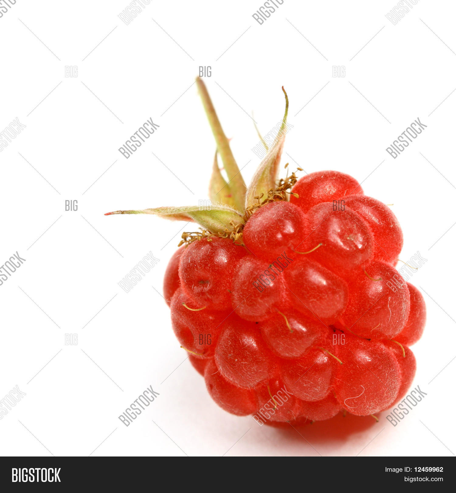 Raspberry Isolated On Image & Photo (Free Trial) | Bigstock