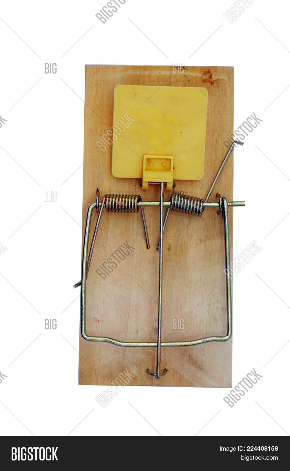 Most Popular Rat Trap Image & Photo (Free Trial) | Bigstock