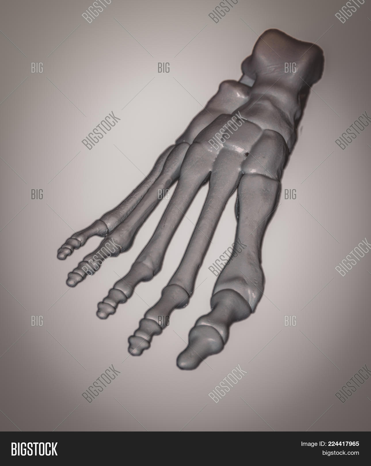 White Prototype Human Image & Photo (Free Trial) | Bigstock